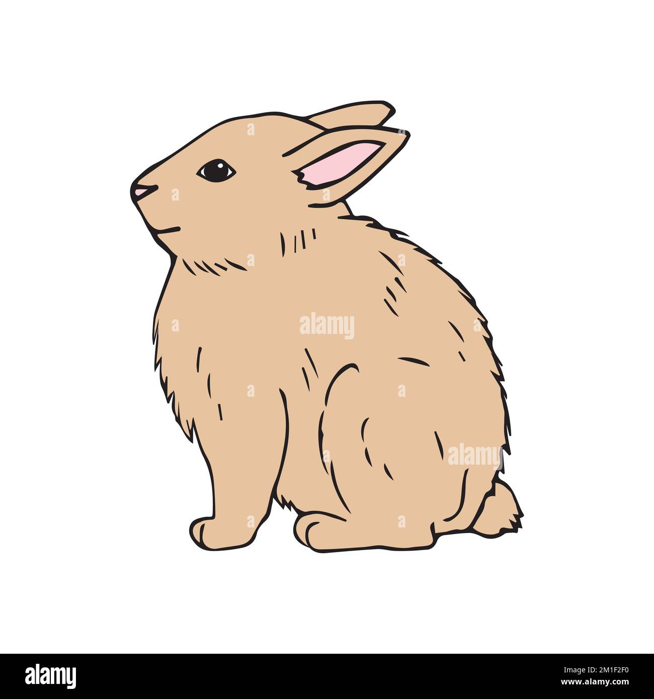 Vector hand drawn doodle sketch colored bunny rabbit isolated on white ...