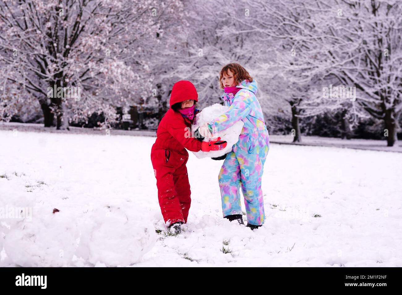 Sisters Molly and Mia Wasilewicz carry a giant snowball through the ...