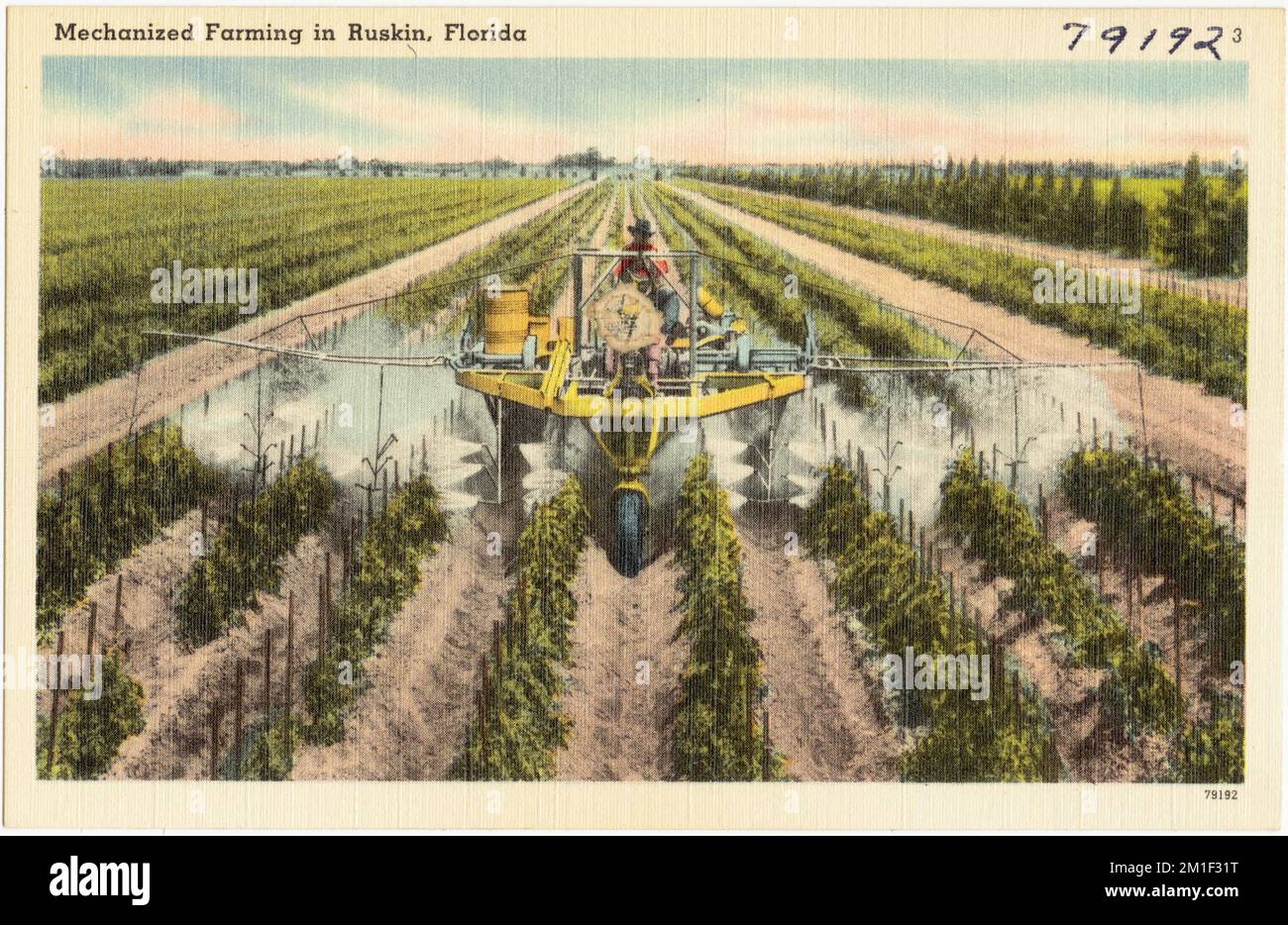 Mechanized farming in Ruskin, Florida , Industrial facilities, Tichnor ...