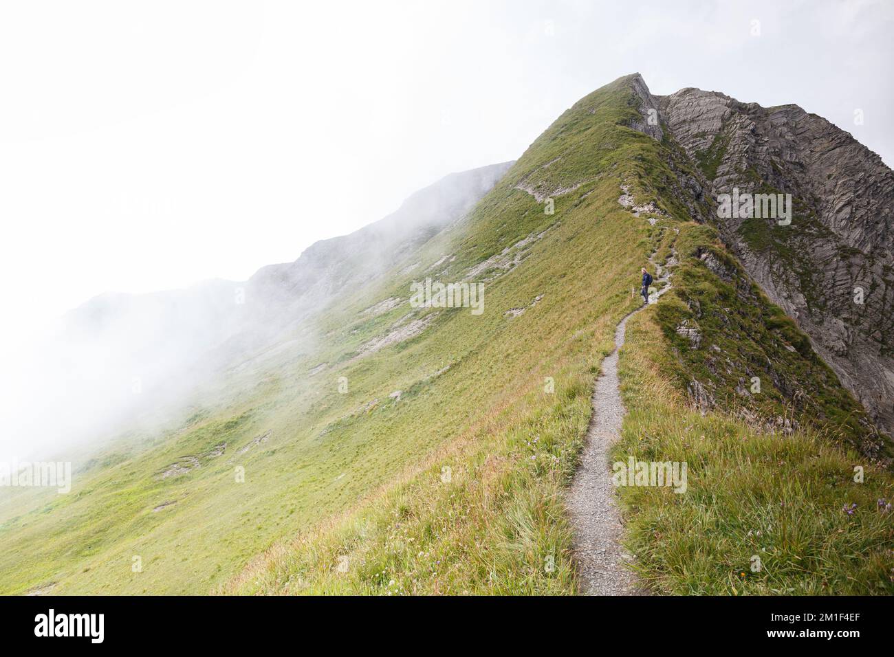 A hiker walks along the Gehrengrat on a steep slope. Lech, Austria ...