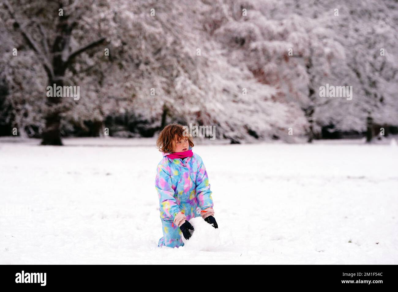 Mia Wasilewicz, aged 9, makes a giant snowball in the snow at Greenwich ...