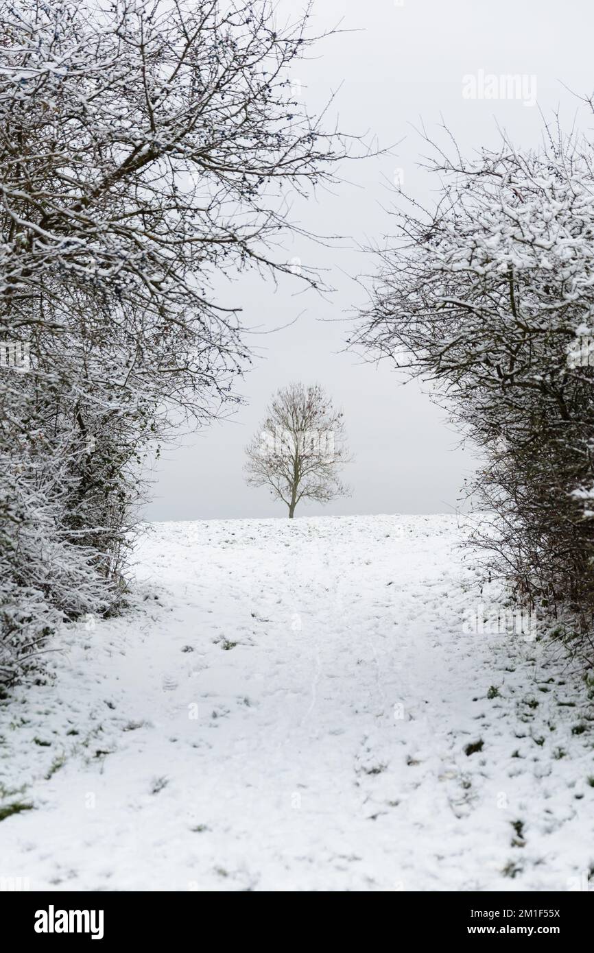 UK WEATHER. Wembley Park, UK. 12th December 2022. Londoners woke to ...