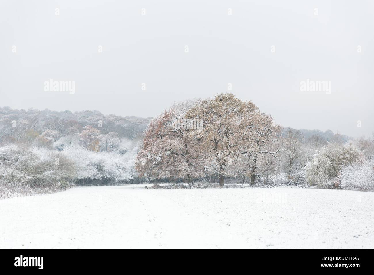 UK WEATHER. Wembley Park, UK. 12th December 2022. Londoners woke to ...