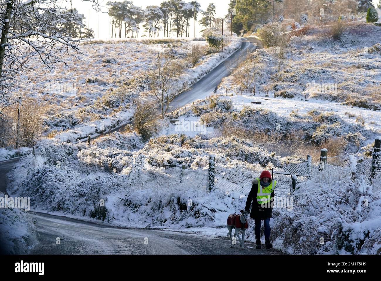 A woman walks her dog in the snow at Manor Kilbride in County Wicklow ...