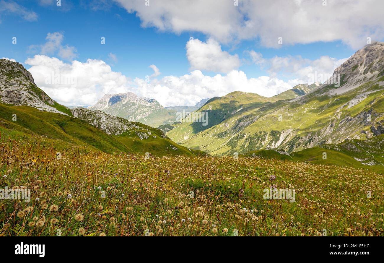 Lech summer hi-res stock photography and images - Alamy