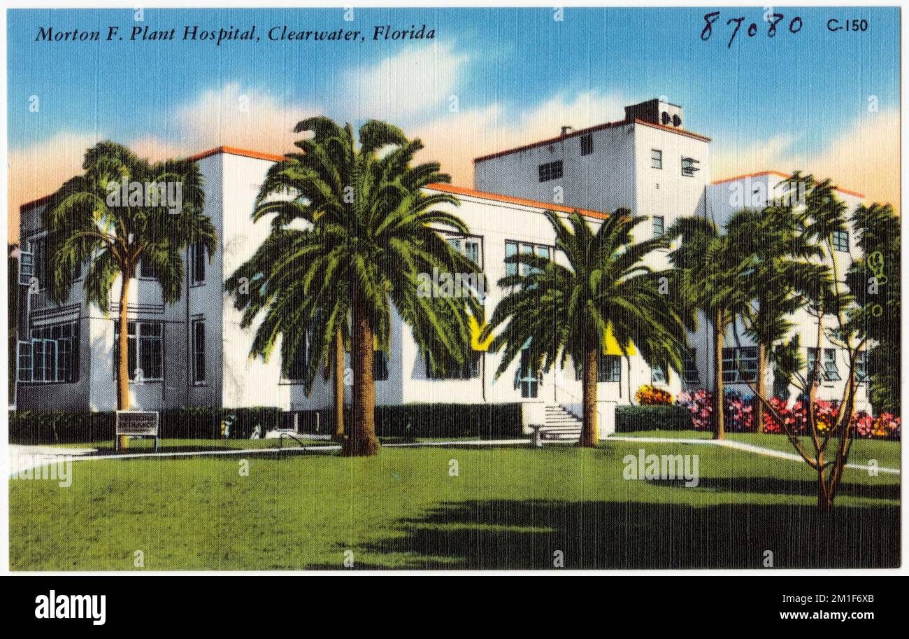 Morton. F. Plant Hospital, Clearwater, Florida , Hospitals, Tichnor ...
