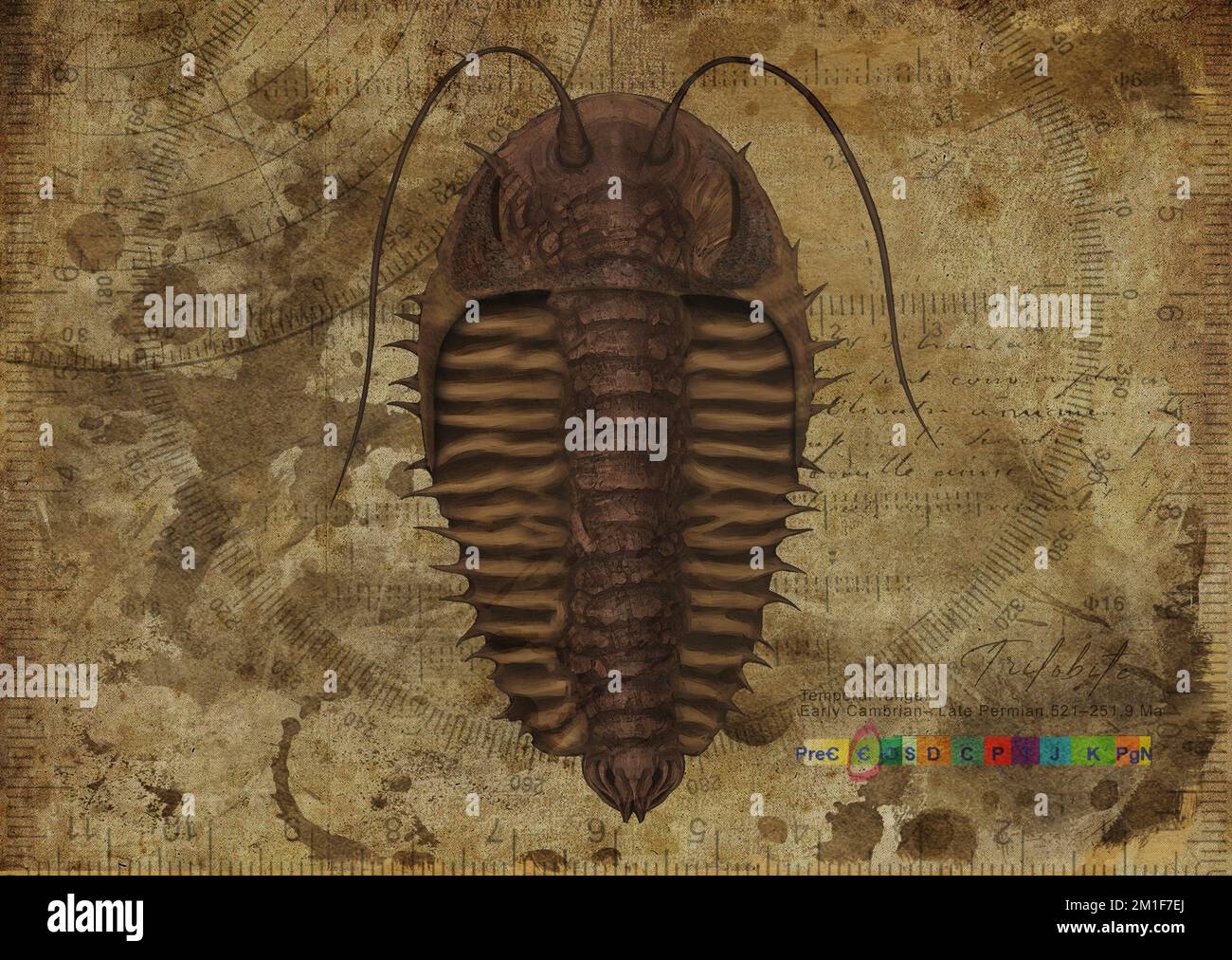 Devonian Trilobite Extinct Arthropod Variant Art Study Old Paper Poster ...