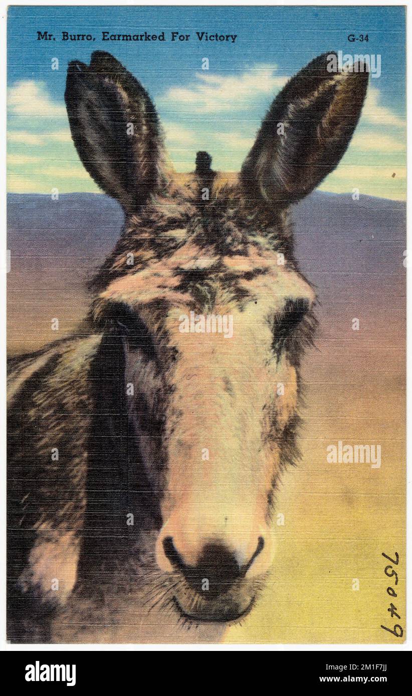 Vintage illustrated cartoon postcard postcards hi-res stock photography ...