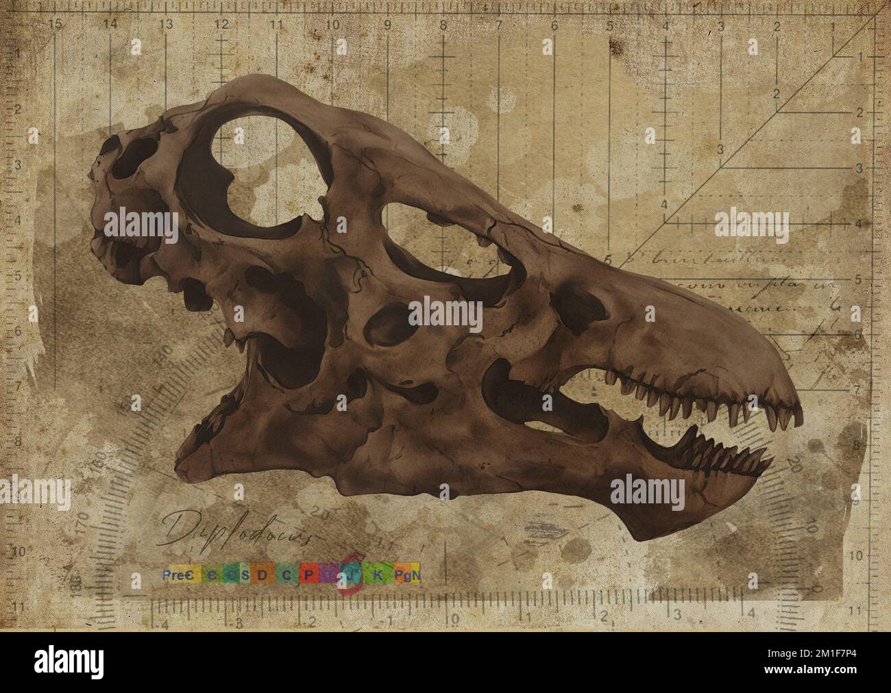 Diplodocus Dinosaur Skull Art Study Old Textured Paper Vintage ...