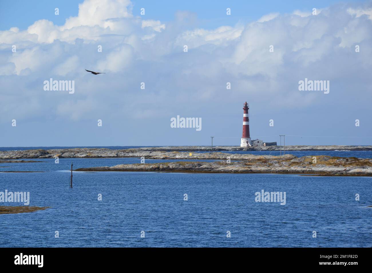 red and white lighthouse in blue sky horizon with bird flying Stock ...