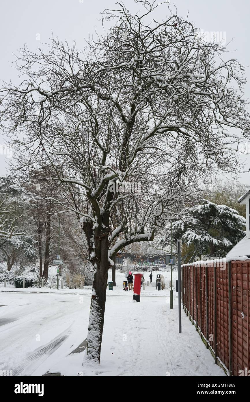 A snow-covered Greenway Gardens in Barnet, Colindale, London, England ...