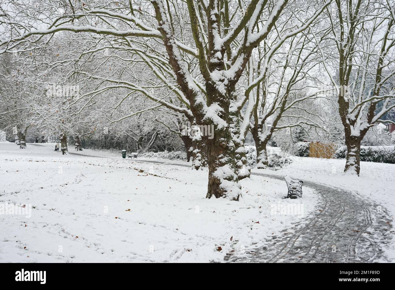 A snow-covered Montrose Pk on the 12-12-2022, in Barnet, London ...