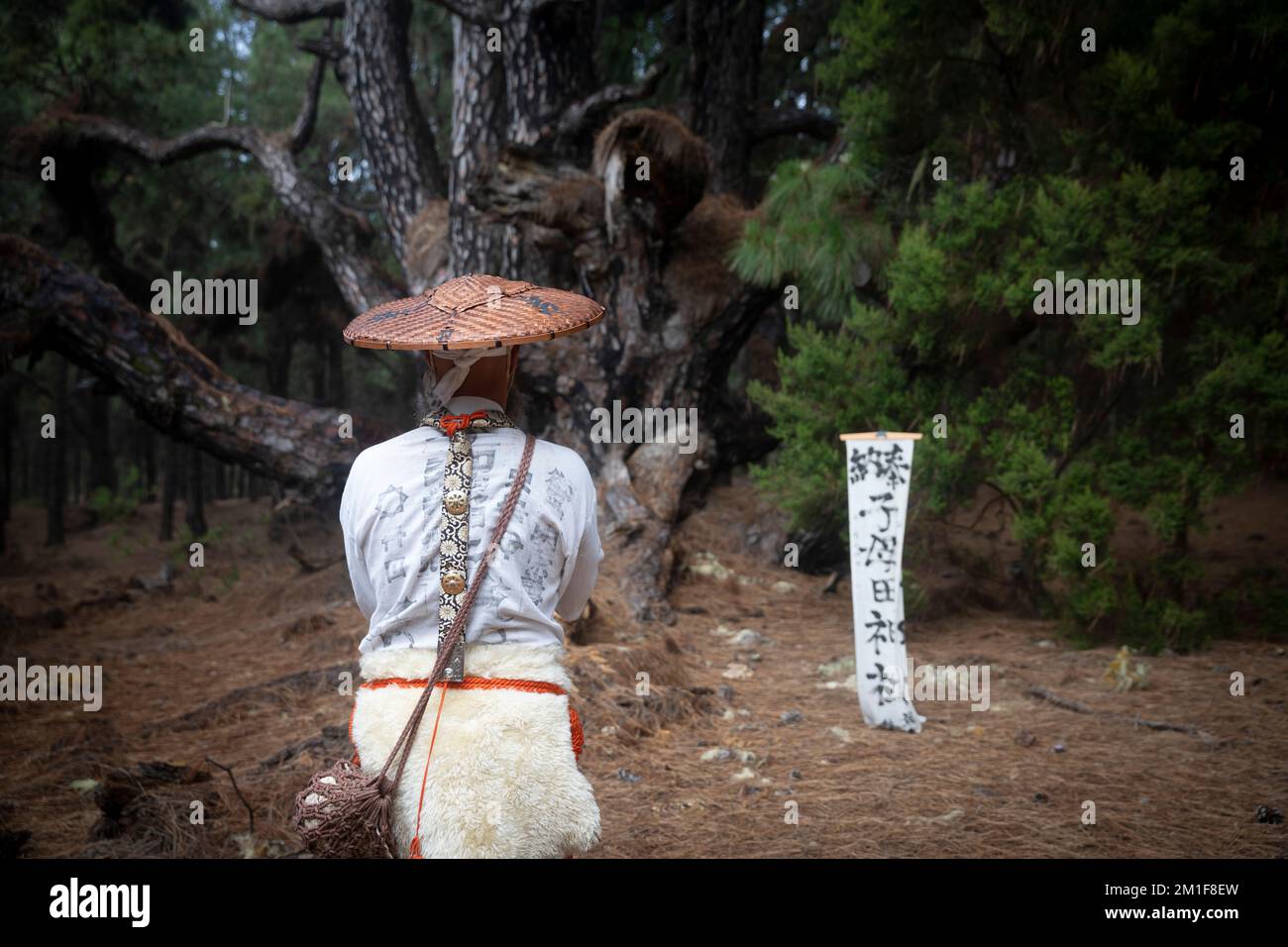 shugendo monk standing and praying in front of large pine tree, el ...