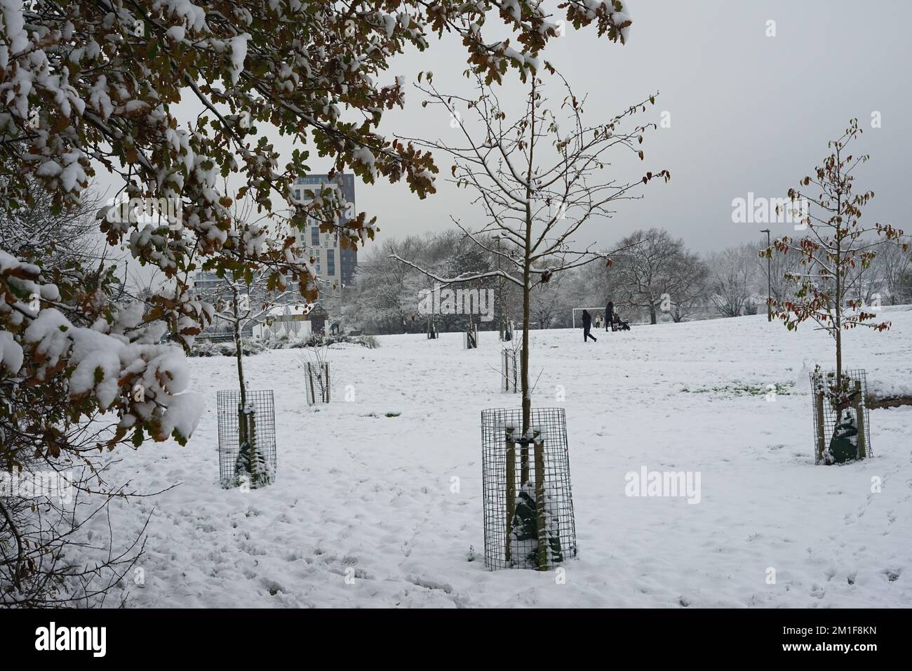 A snow-covered Montrose Pk on the 12-12-2022, in Barnet, London ...