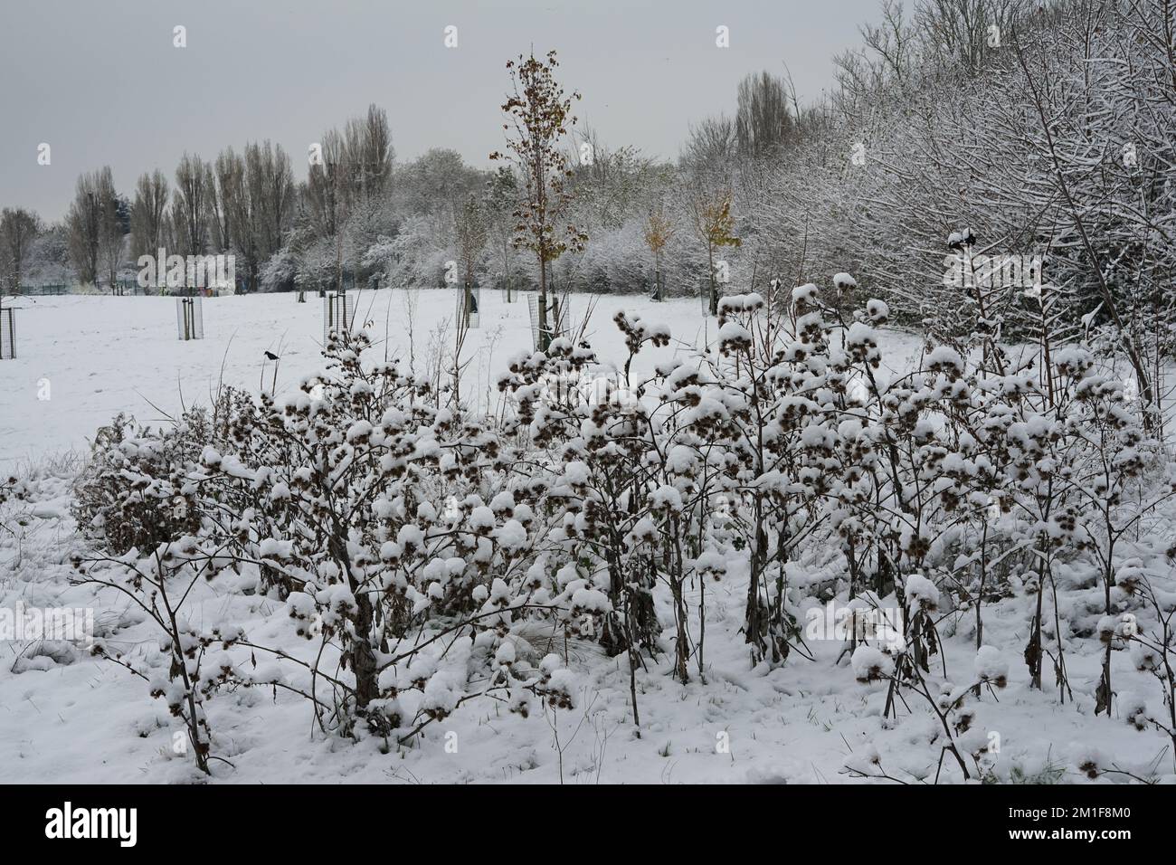 A snow-covered Montrose Pk on the 12-12-2022, in Barnet, London ...