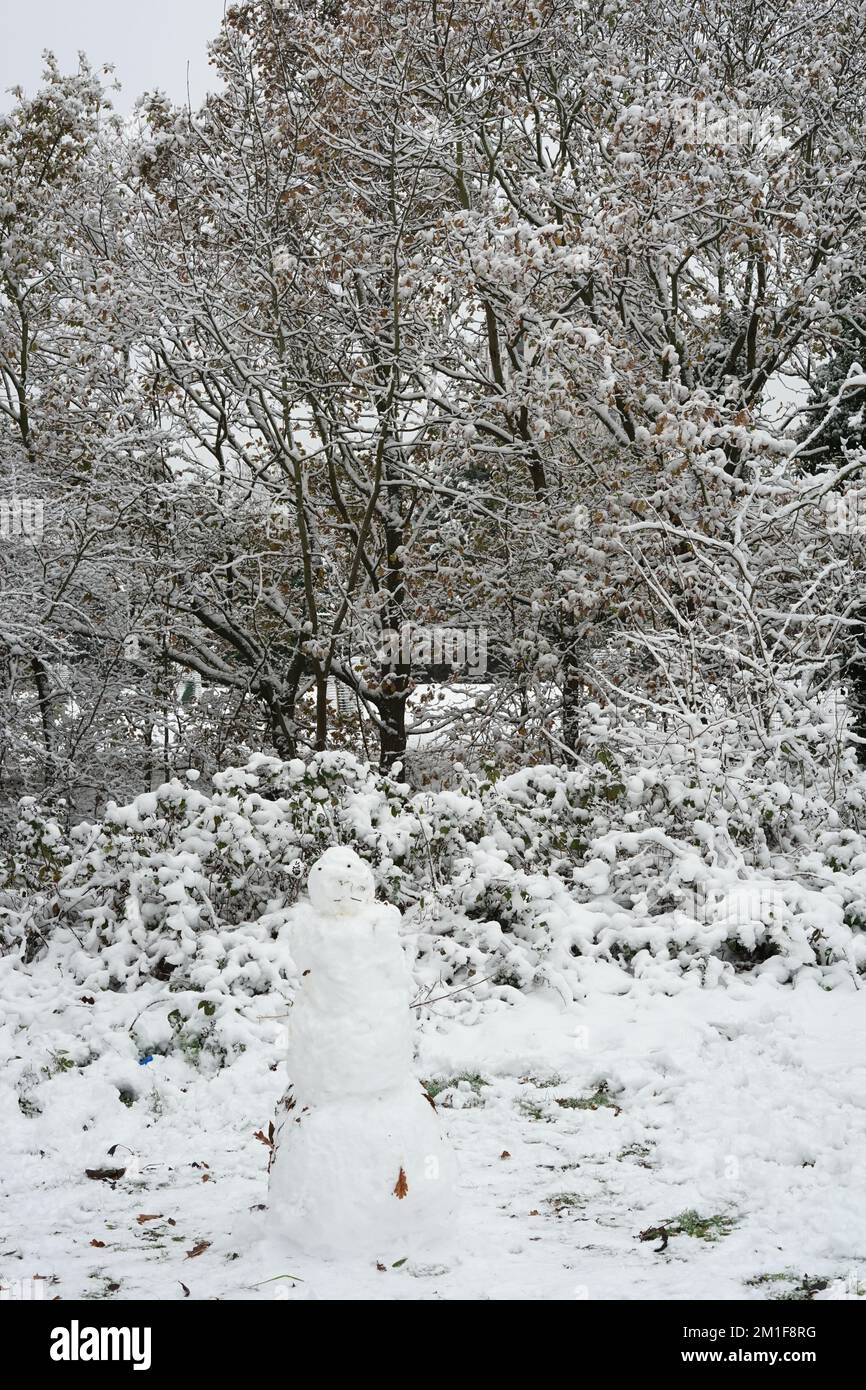 A snow-covered Montrose Pk on the 12-12-2022, in Barnet, London ...