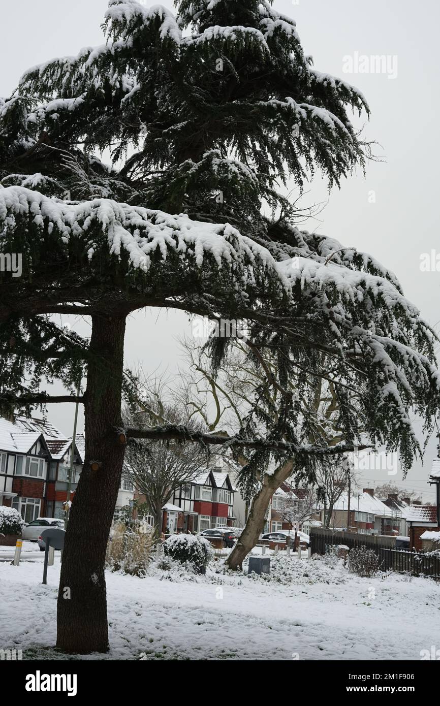Snow-covered trees in Montrose Pk, Barnet, Colindale, London, England ...
