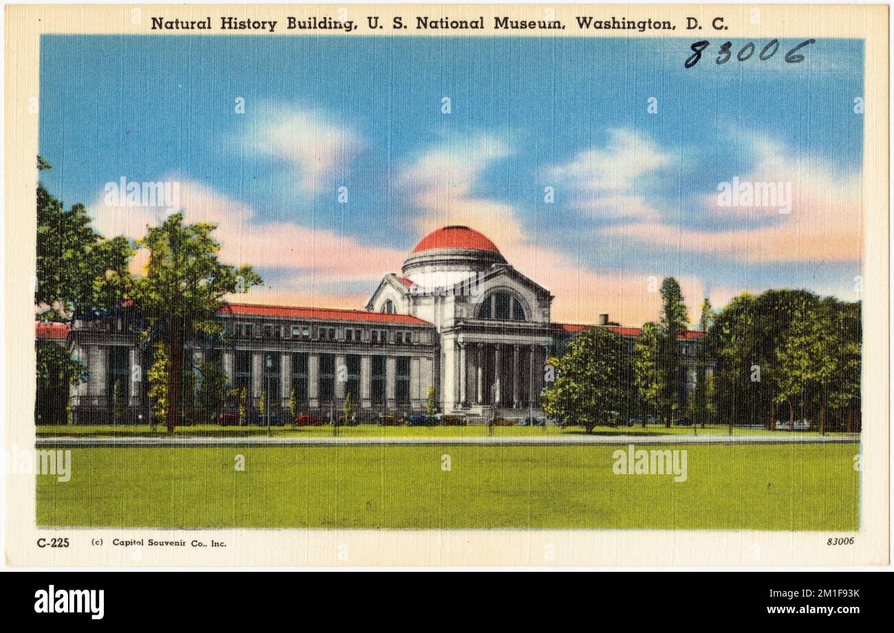 National History Building, U. S. National Museum, Washington, D. C ...