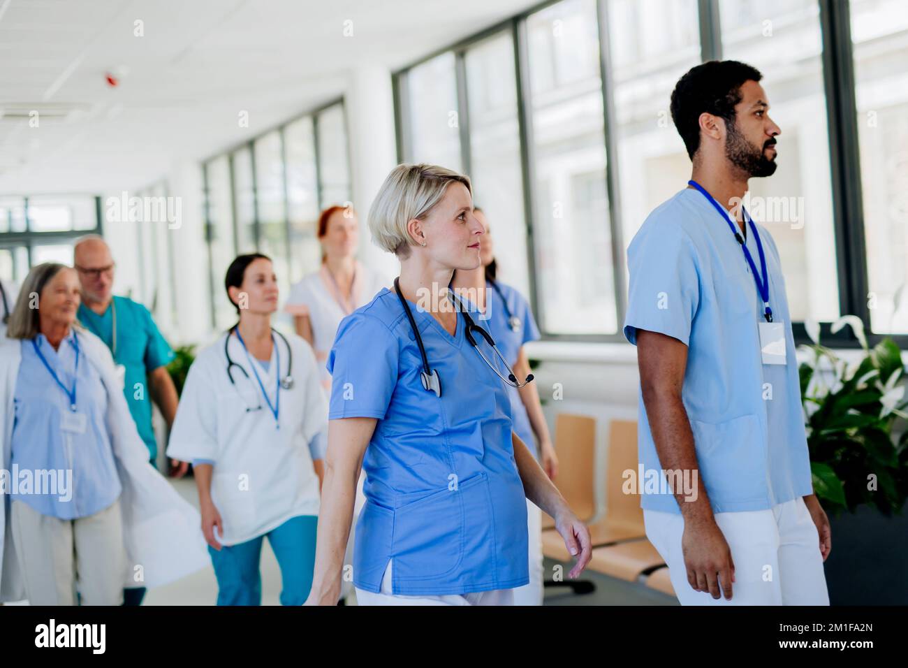 Daily chceck up hi-res stock photography and images - Alamy