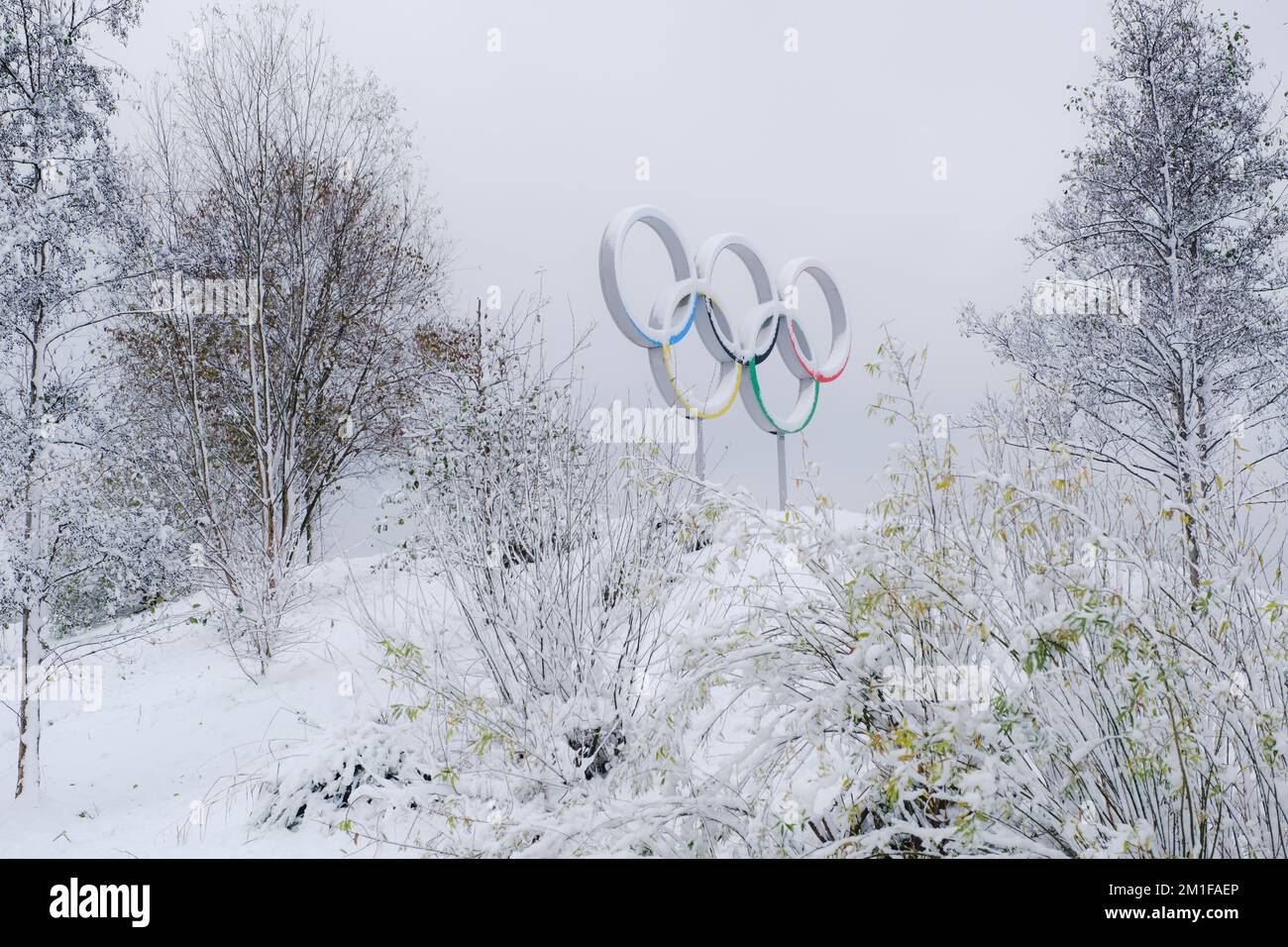 London, UK- December 2022 : Olympic rings in the Queen Elizabeth ...
