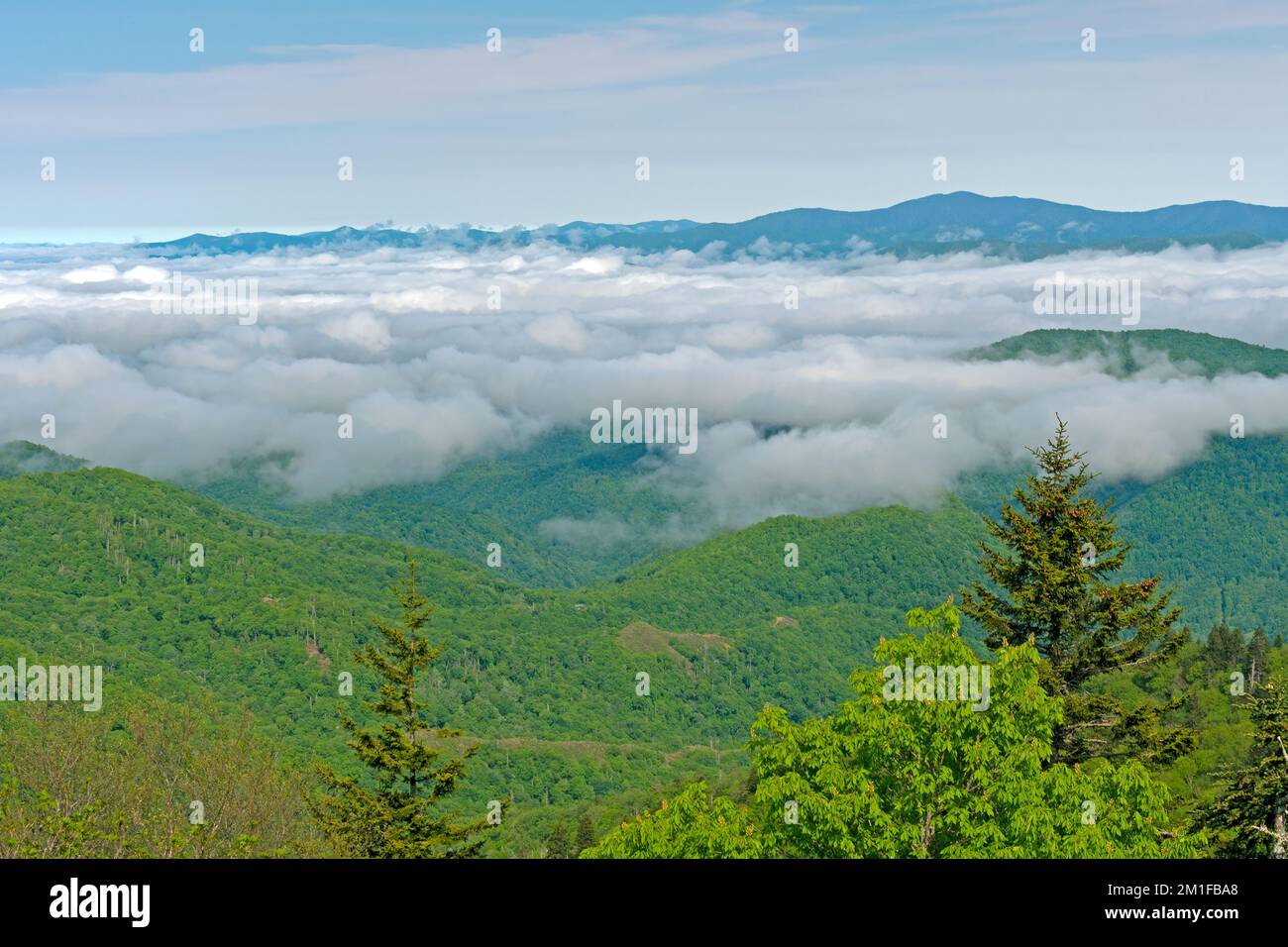 Morning Clouds Hanging Over the Mountains on The Blue Ridge Parkway in ...