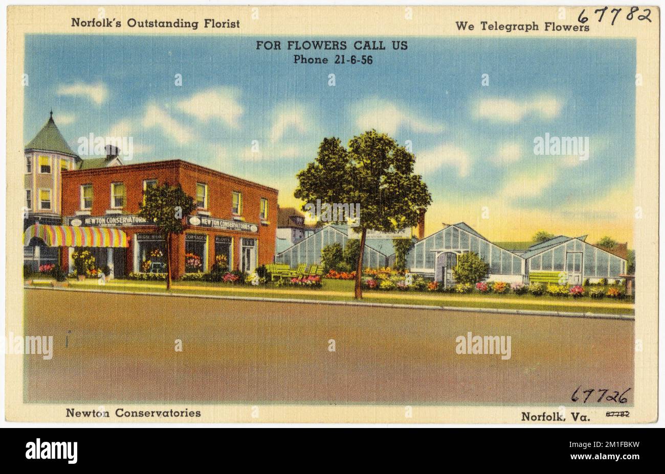 Norfolk's outstanding florist, Newton Conservatories, Norfolk, Va ...