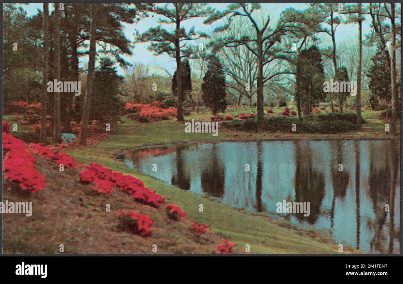 Norfolk, Virginia , Lakes & ponds, Tichnor Brothers Collection ...