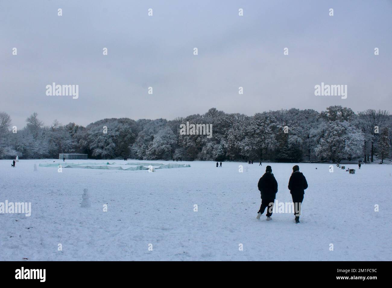 snowy scenes in highgate wood and queens wood north london N10 england ...