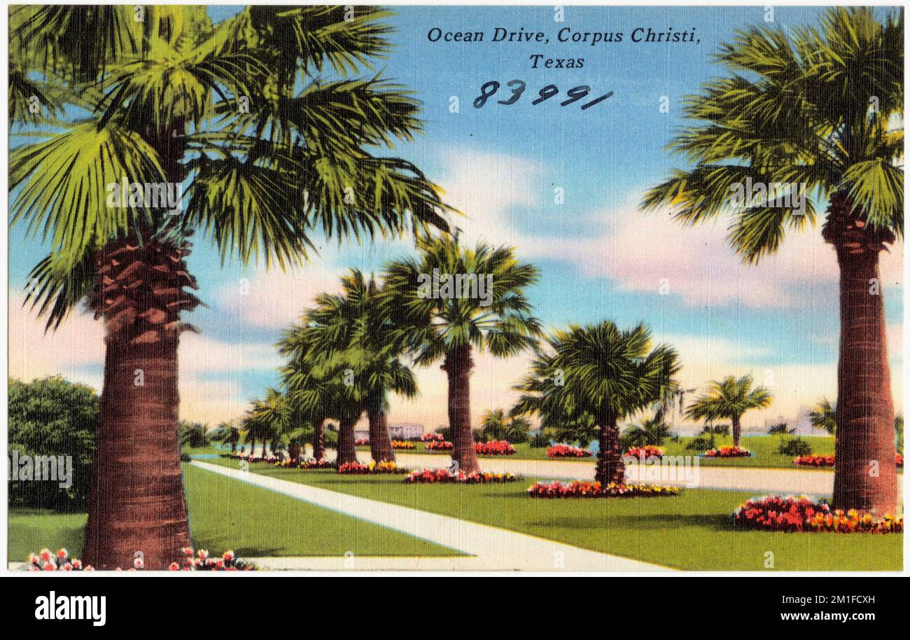 Ocean Drive, Corpus Christi, Texas , Tichnor Brothers Collection ...