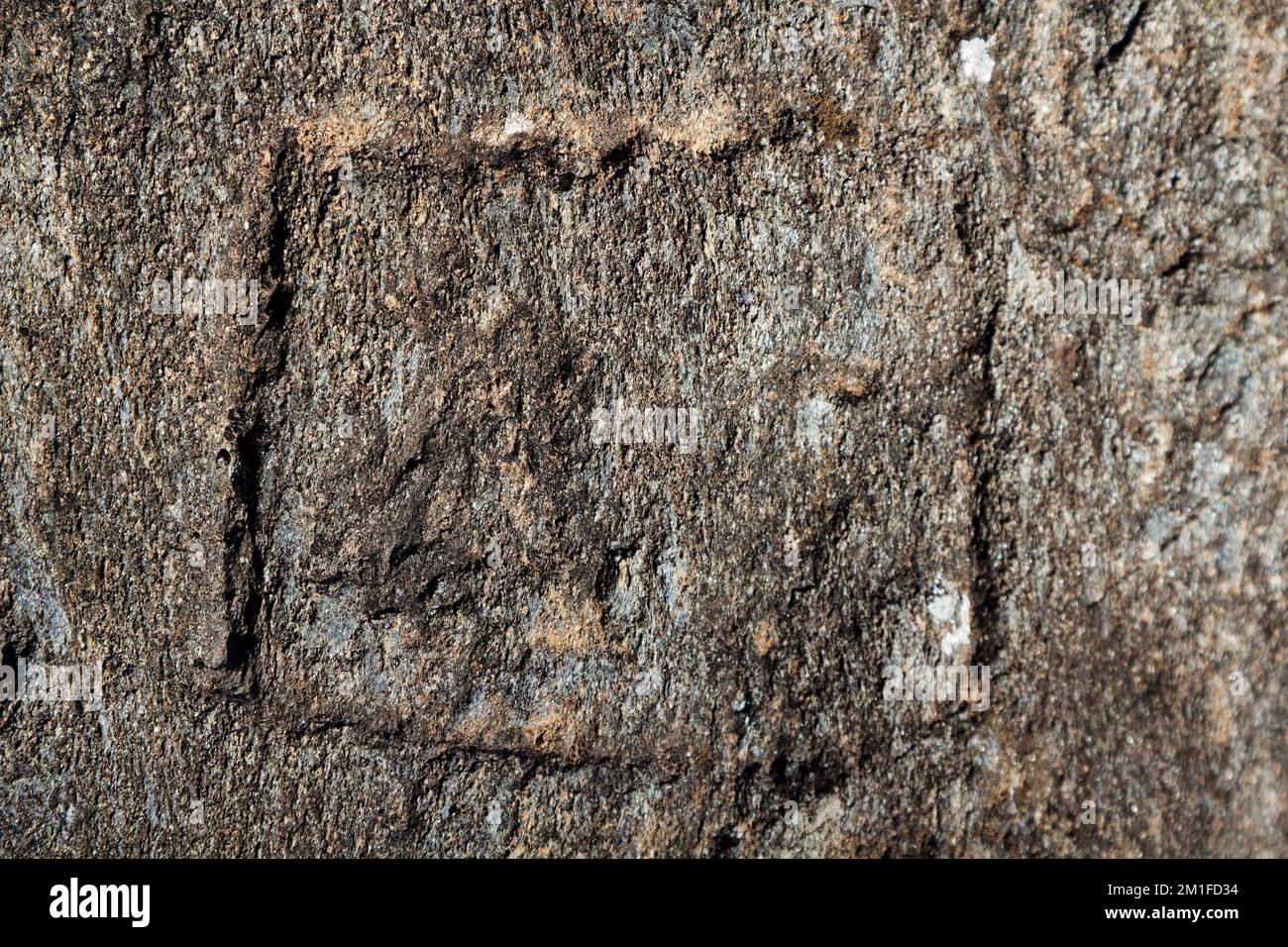 Carvings - Altar of the Celts - Boulder Celtic Altar with cupels and ...