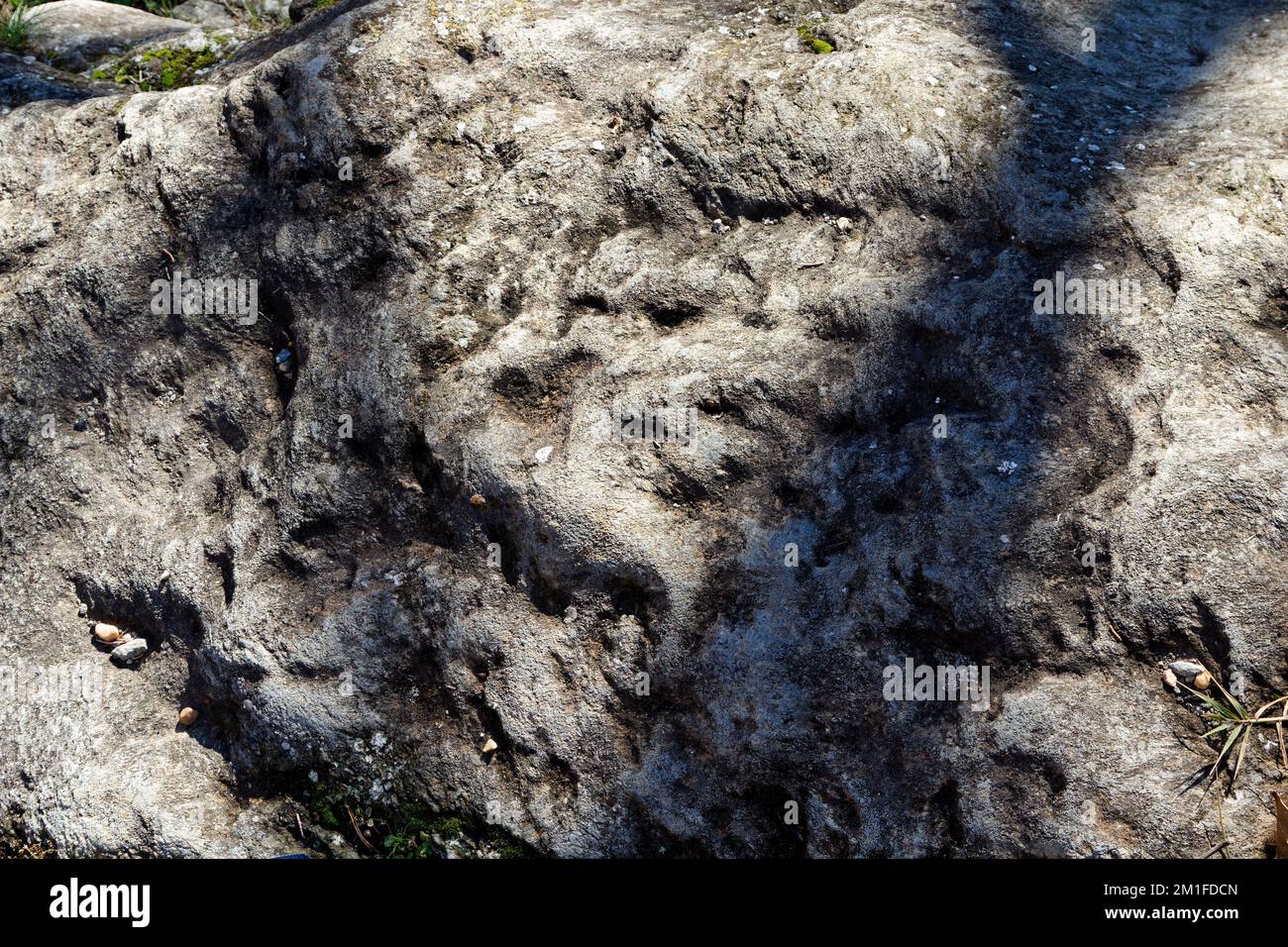 Cupels - Altar of the Celts - Boulder Celtic Altar with cupels and ...