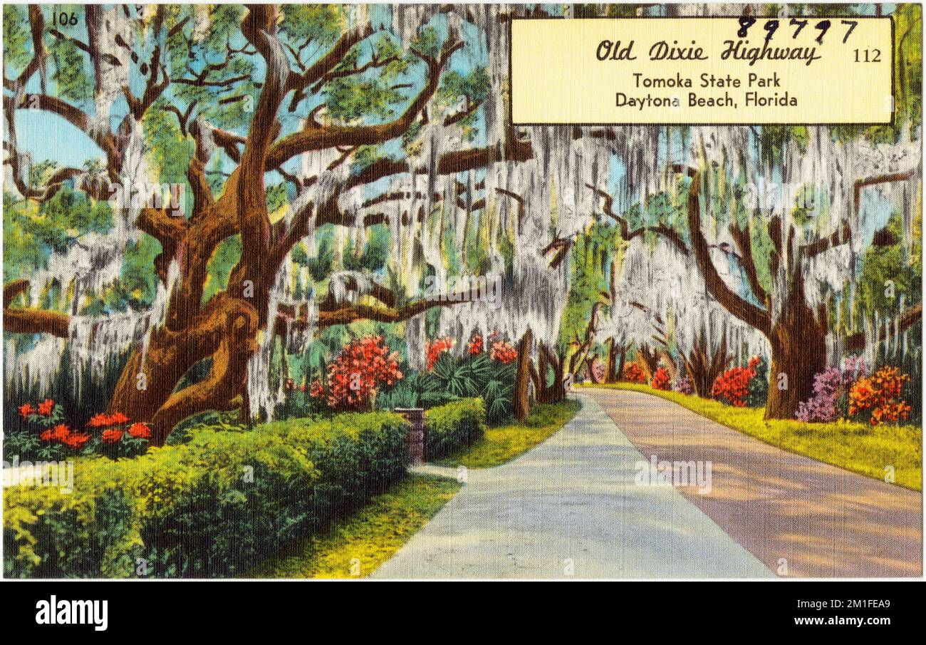 Old Dixie Highway, Tomoka State Park, Daytona Beach, Florida , Parks ...