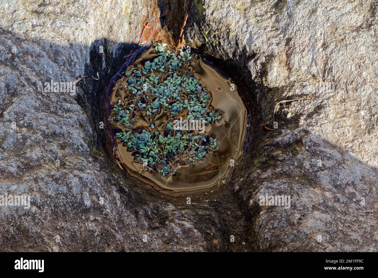 Cupels - Altar of the Celts - Boulder Celtic Altar with cupels and ...
