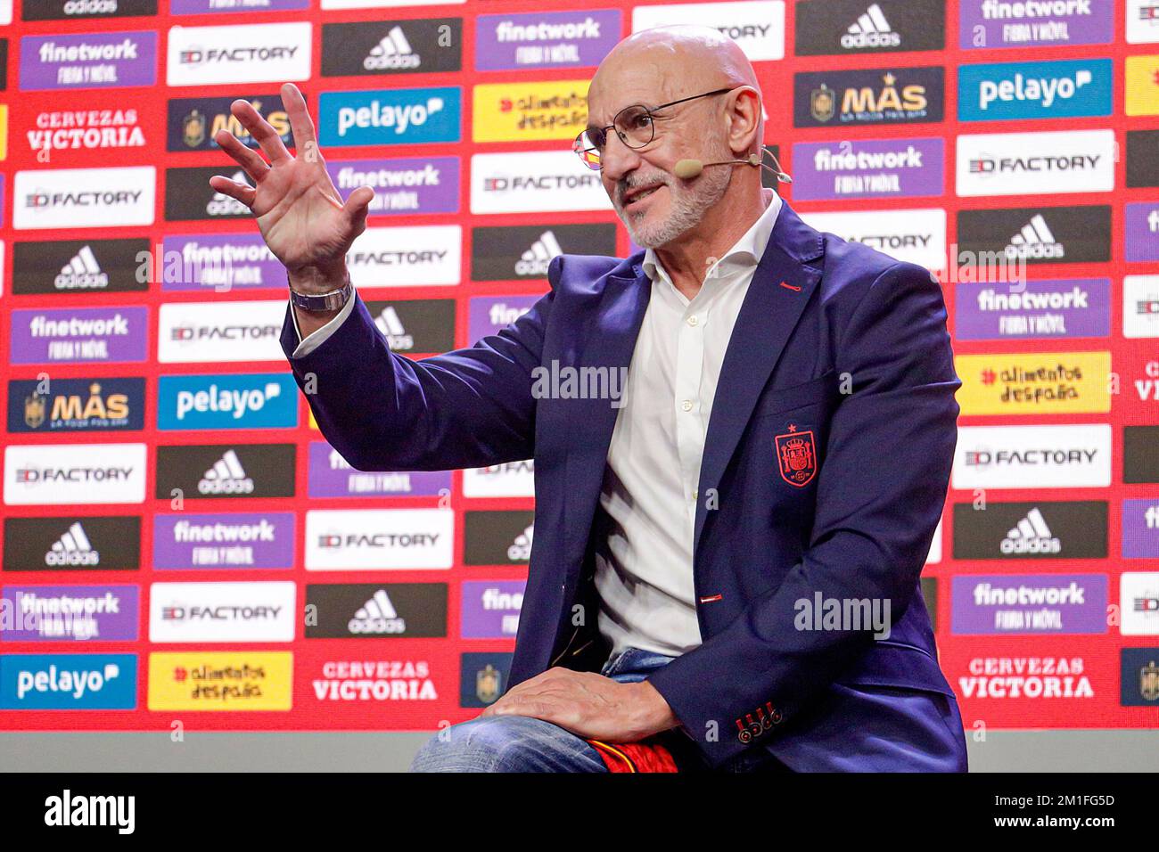 Spain's national football team new head coach Luis de la Fuente during ...