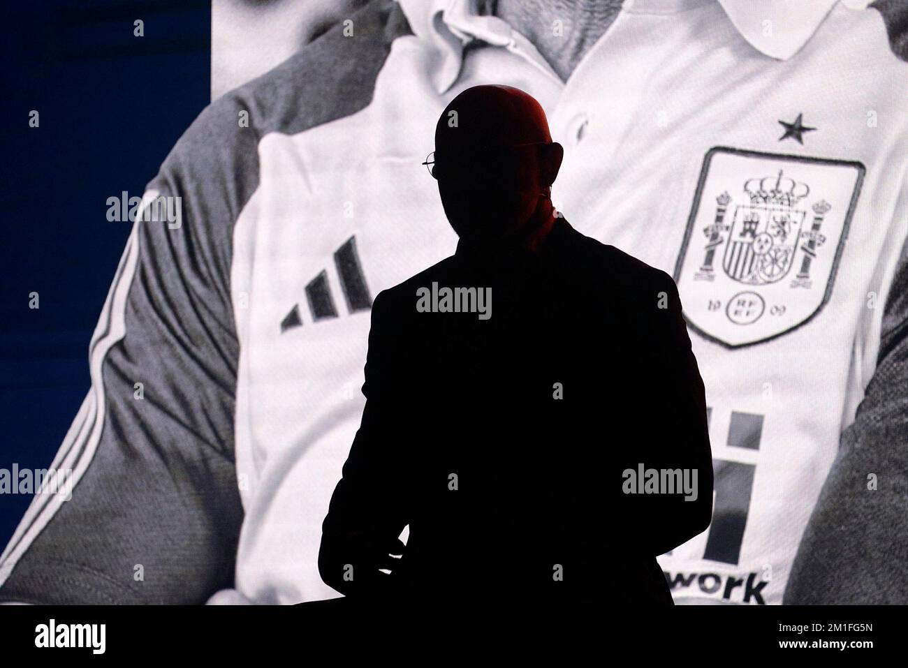 Spain's national football team new head coach Luis de la Fuente during ...