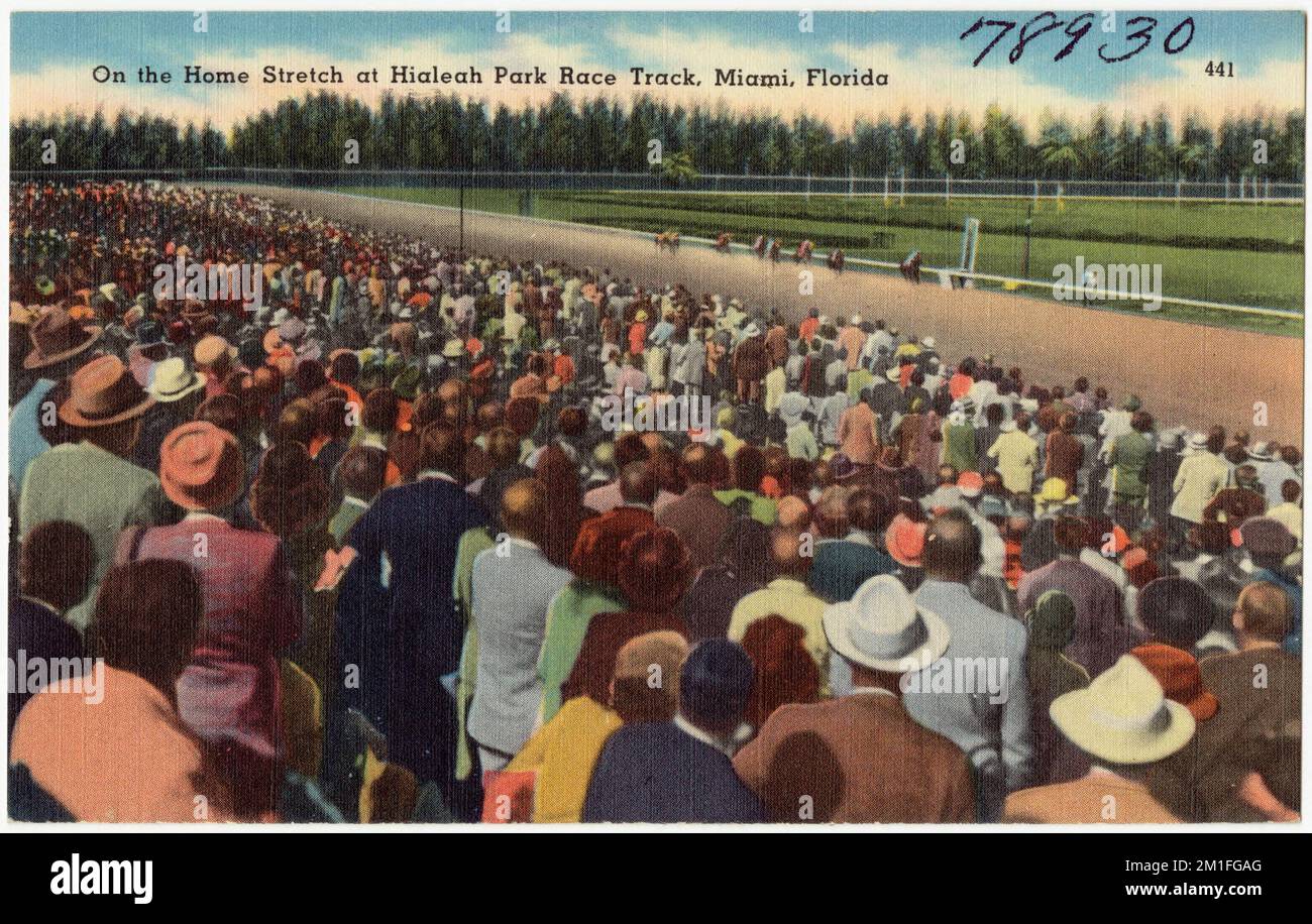 On the home stretch at Hialeah Park race track, Miami, Florida , Sports ...