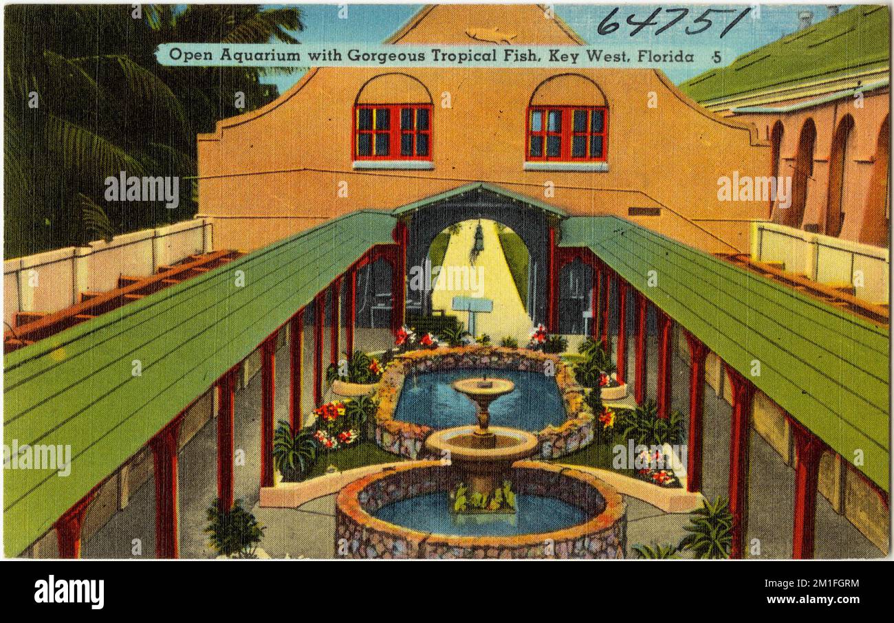 Open aquarium with gorgeous tropical fish, Key West, Florida , Tichnor ...