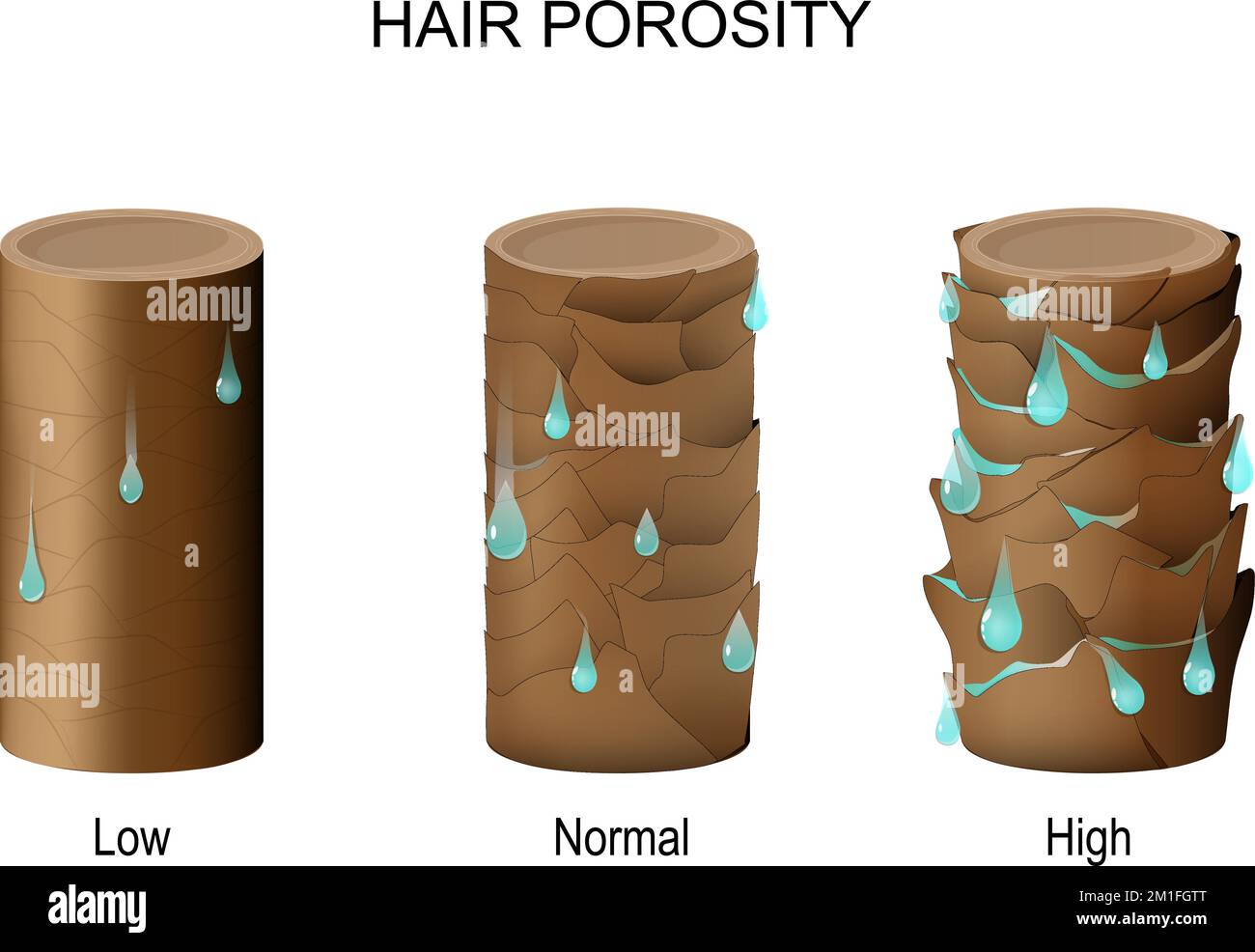 Porous hair structure hi-res stock photography and images - Alamy
