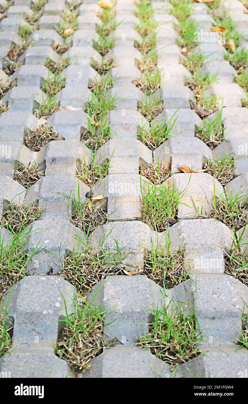 Turf pavers hi-res stock photography and images - Alamy