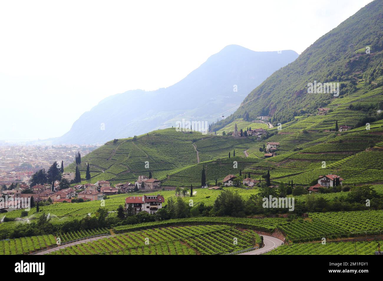 A bird's-eye view of vineyards in Bolzano South Tyrol, Italy Stock ...