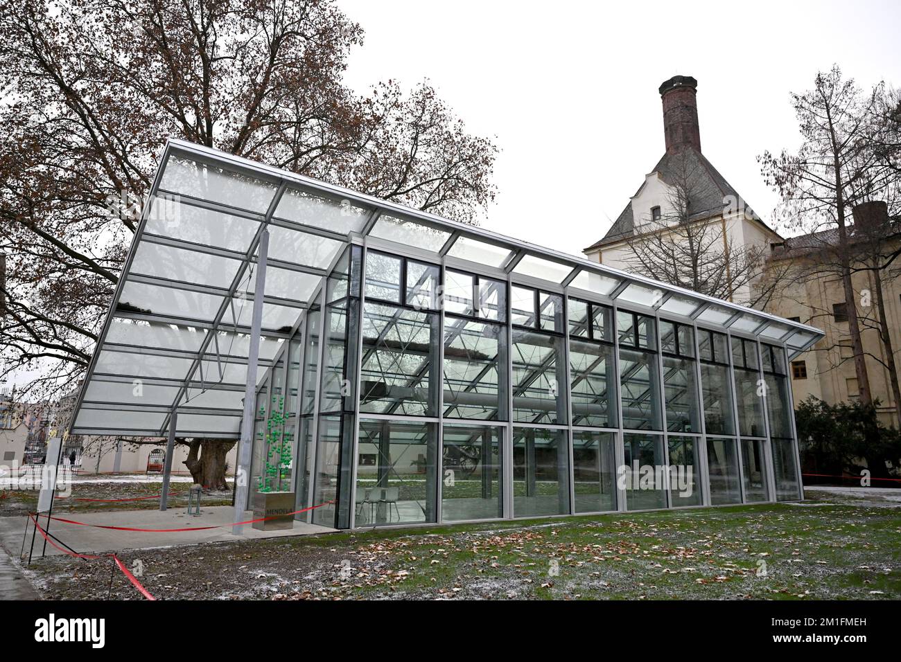 Exhibition mendel in mendel museum hi-res stock photography and images ...