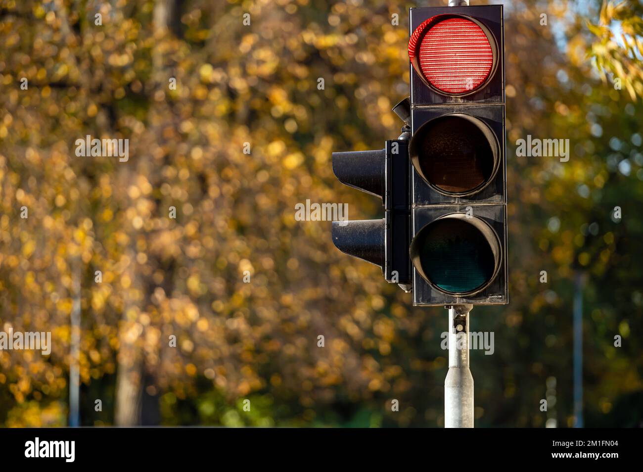 Red traffic light in semaphore close-up. Bright colored autumn ...