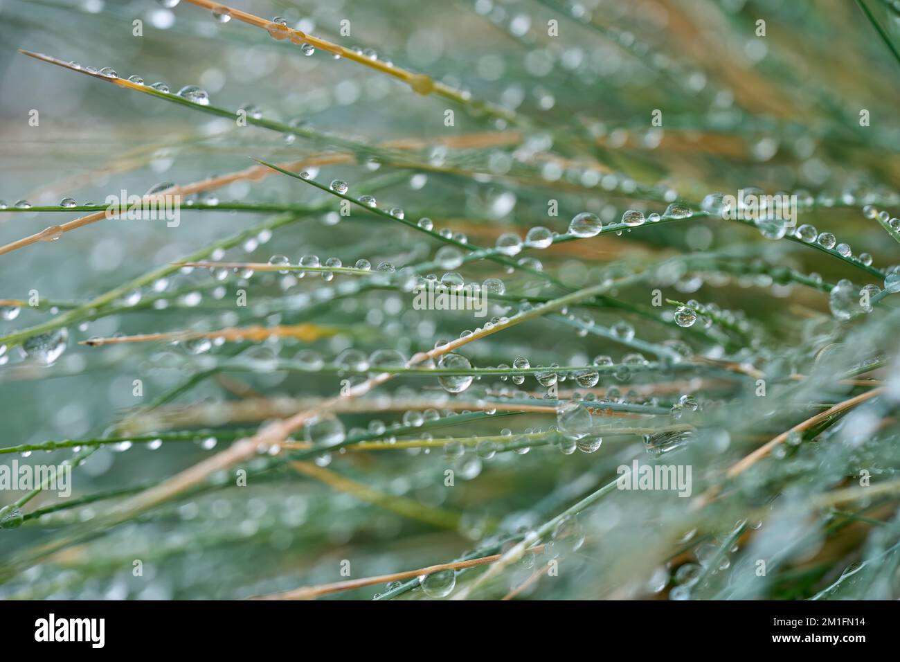 Shiny water hi-res stock photography and images - Alamy