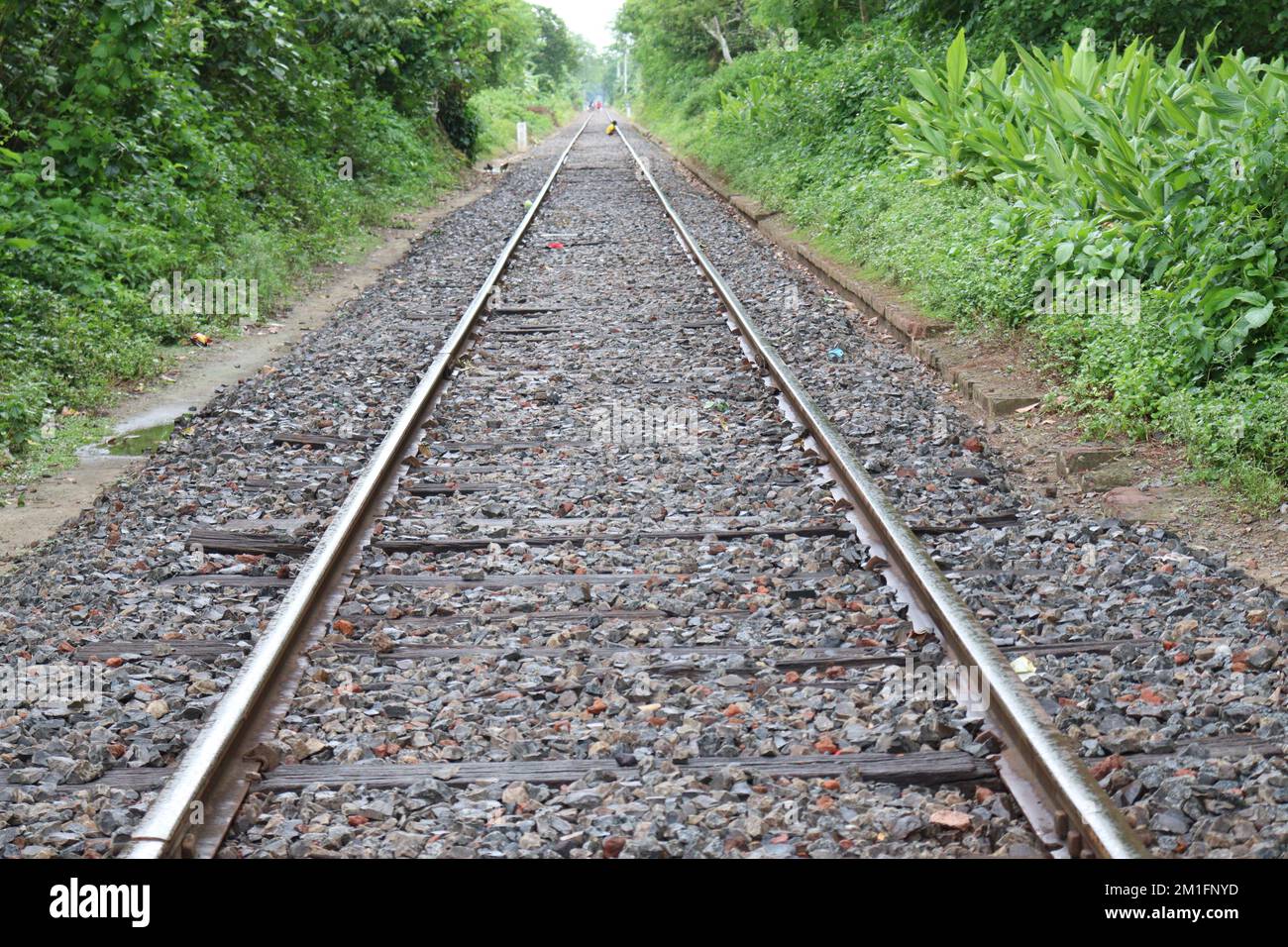 Narrow gauge railway on ground for rail Stock Photo - Alamy