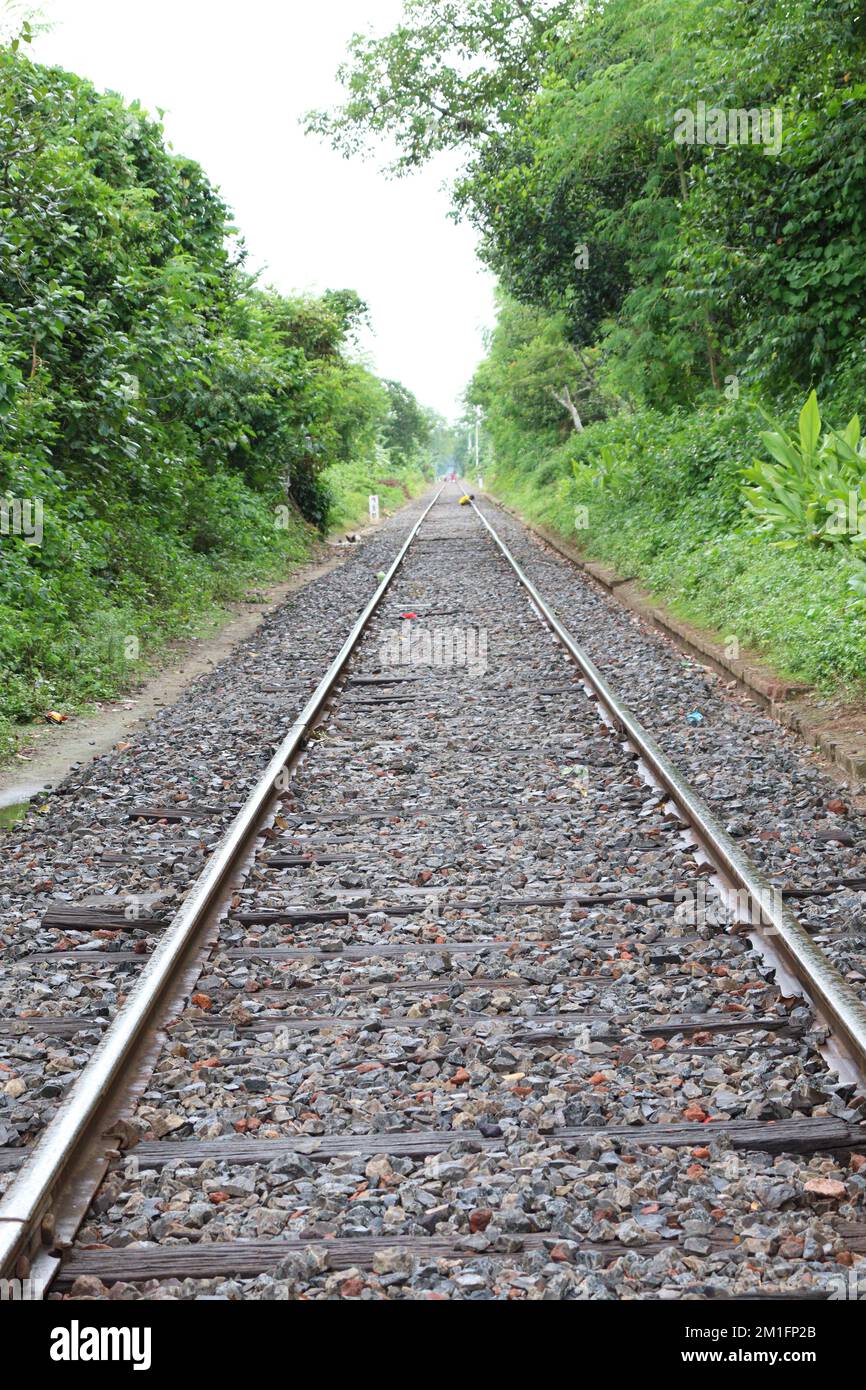 Narrow gauge railway on ground for rail Stock Photo - Alamy