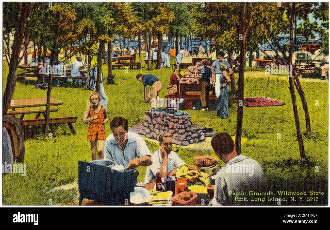 Picnic grounds, Wildwood State Park, Long Island, N. Y. , Parks ...