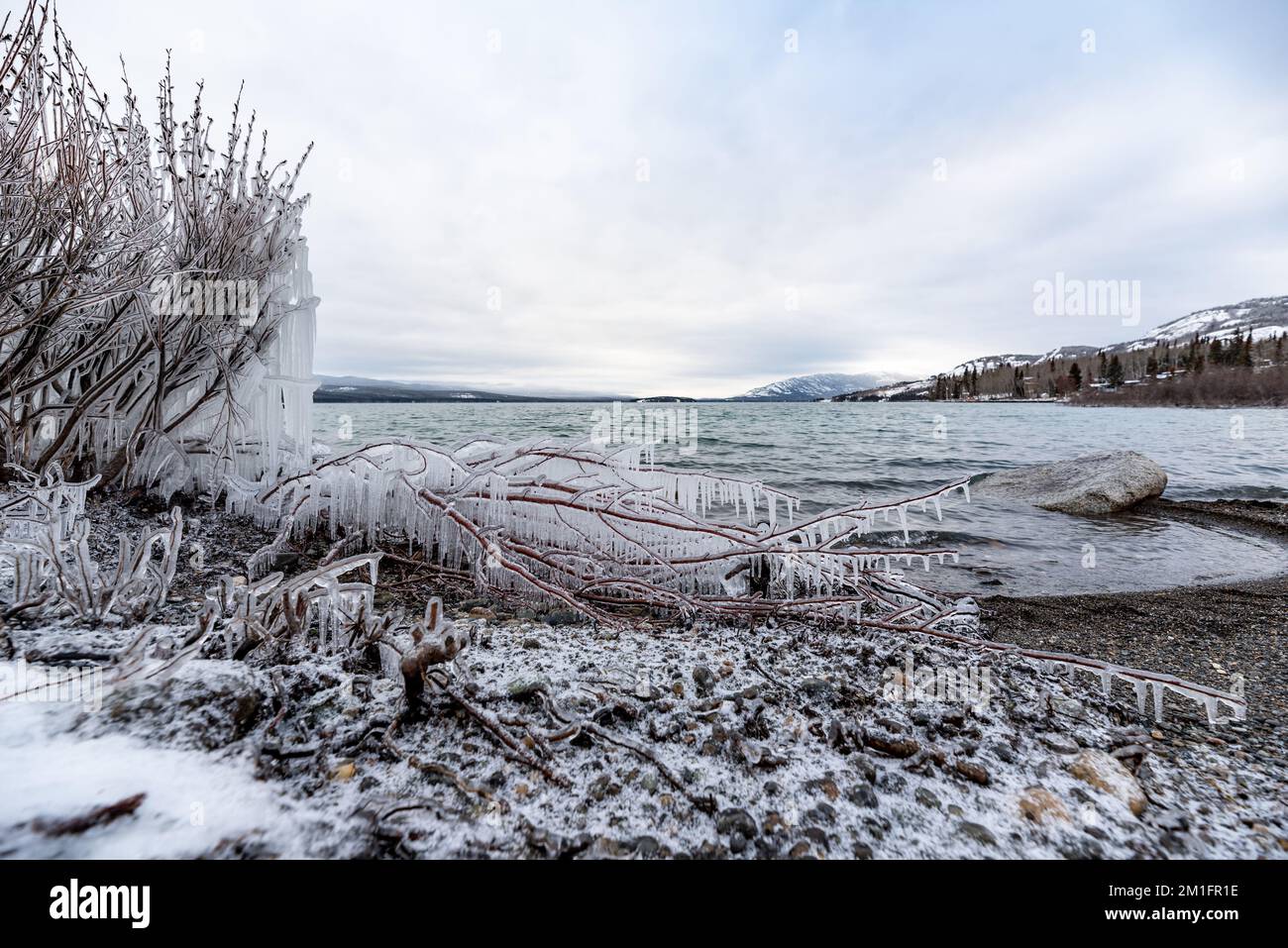 Frozen lake shore, beautiful and unique in the arctic at the start of ...