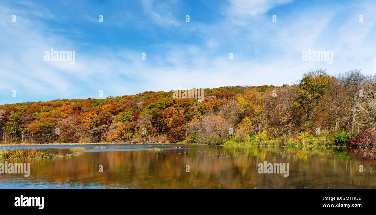 Autumn colors dominate the forest along the I&M Canal State Trail in ...