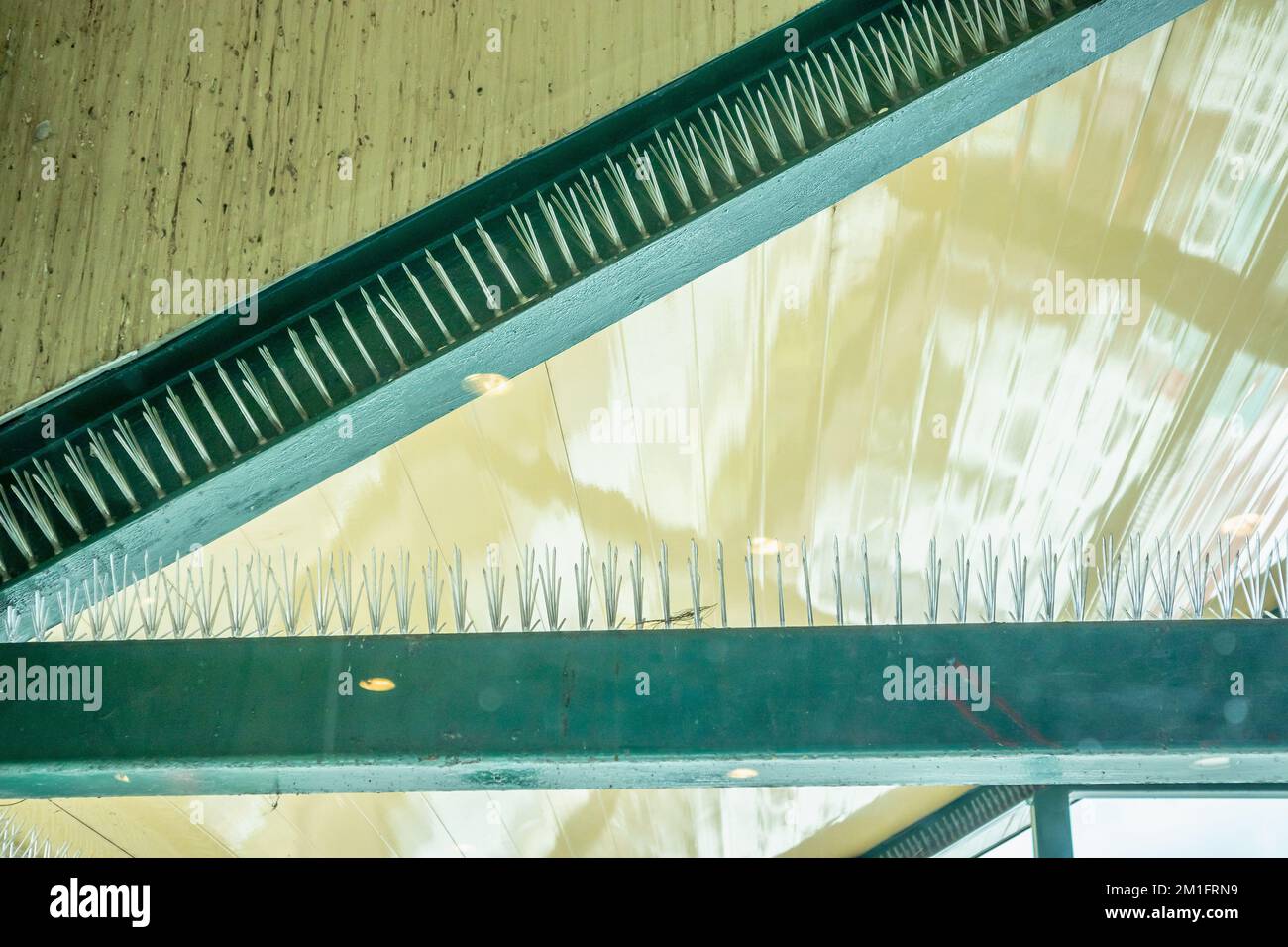 Anti bird spikes hi-res stock photography and images - Alamy