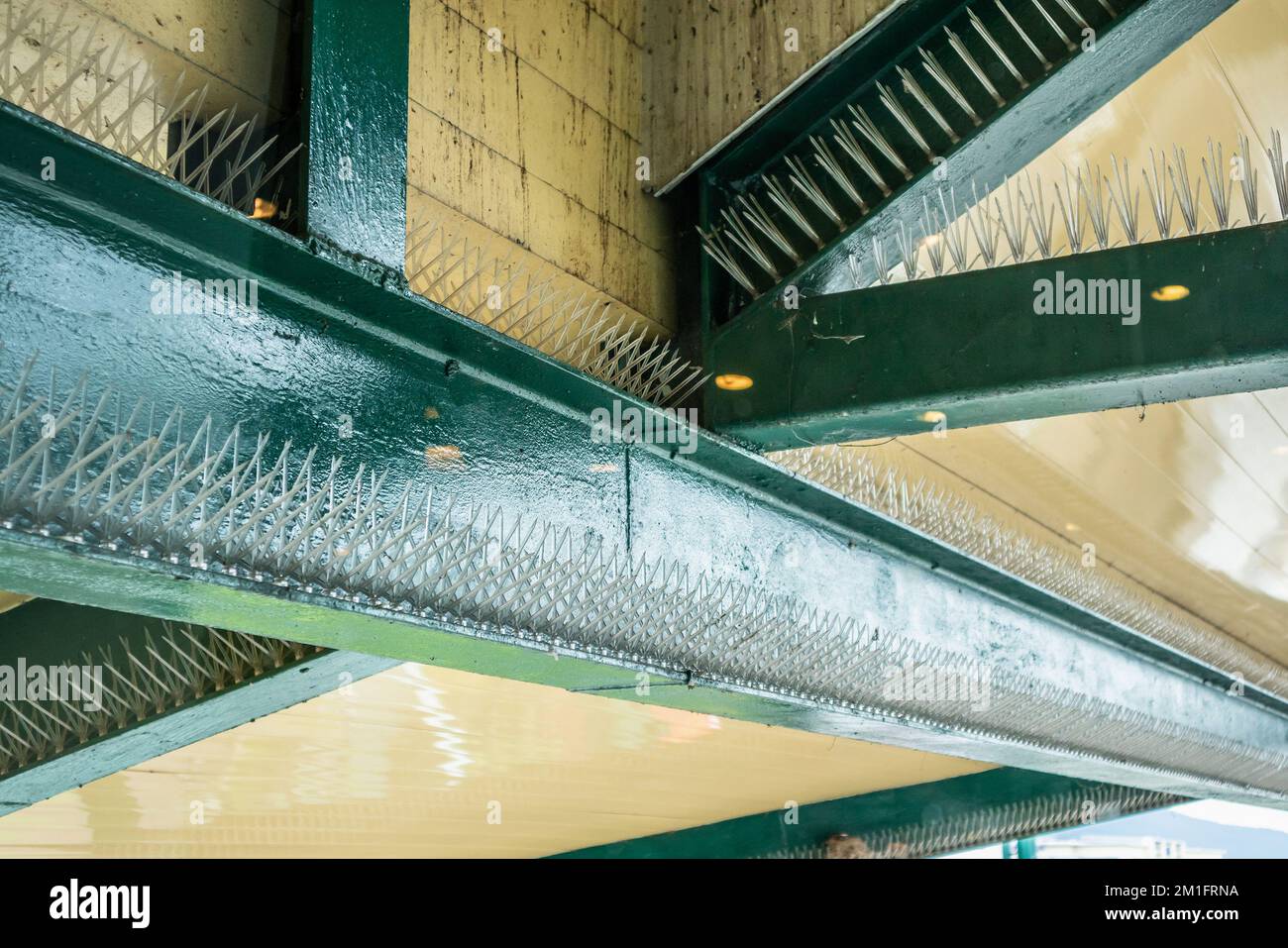 Anti bird spikes hi-res stock photography and images - Alamy